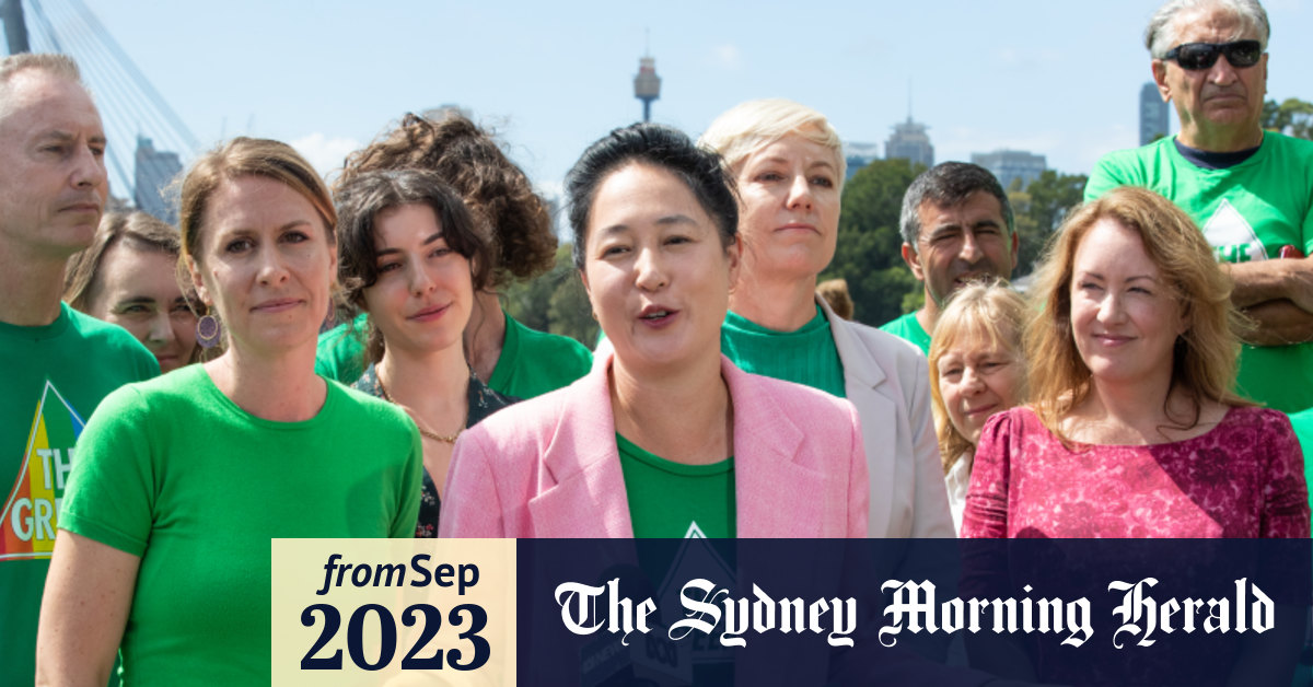Indigenous Voice to Parliament: Greens MPs yet to get involved