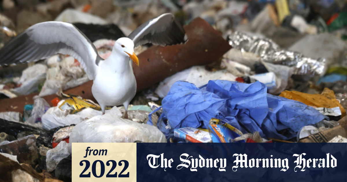 COVID Australia: Spike in plastic waste during pandemic