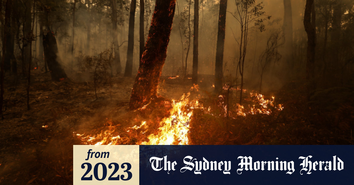 Climate change: 2023 likely to be the hottest in 100,000 years