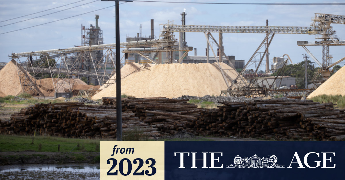 Victoria native forests logging: The legal manoeuvre that could trigger ...