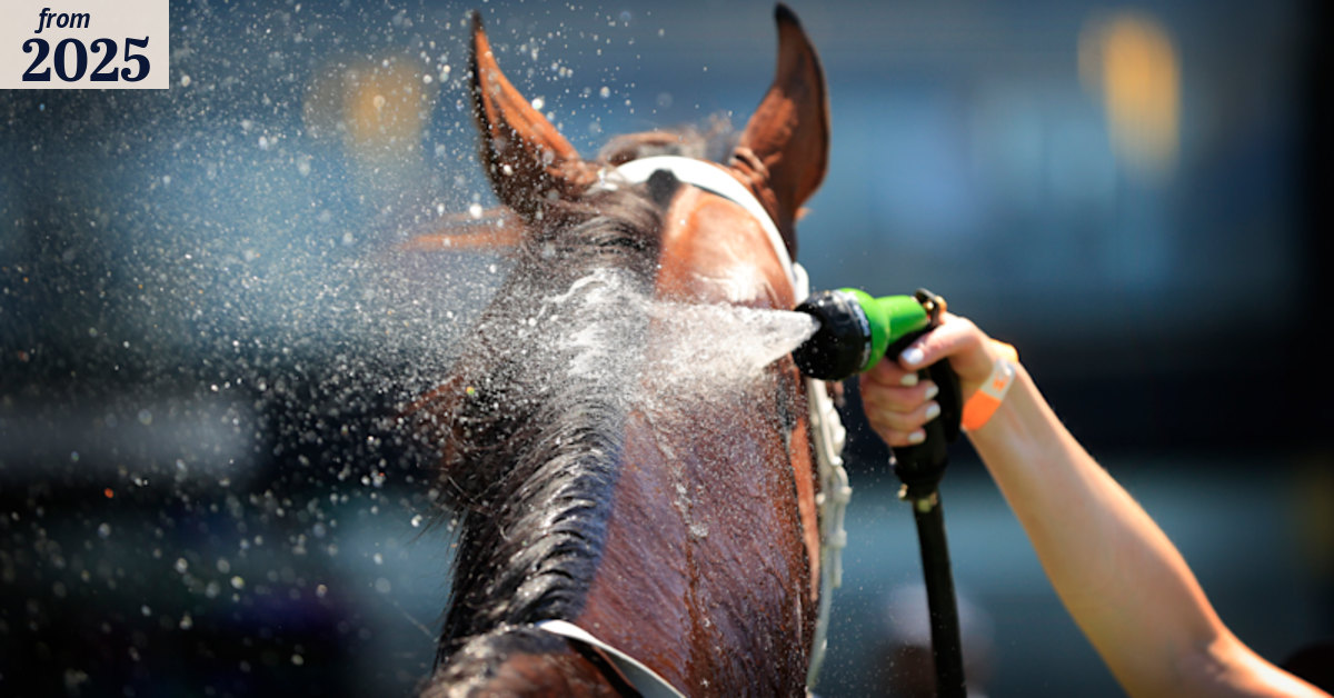 ‘It was pretty special’: Trainer eager to build on breakthrough win