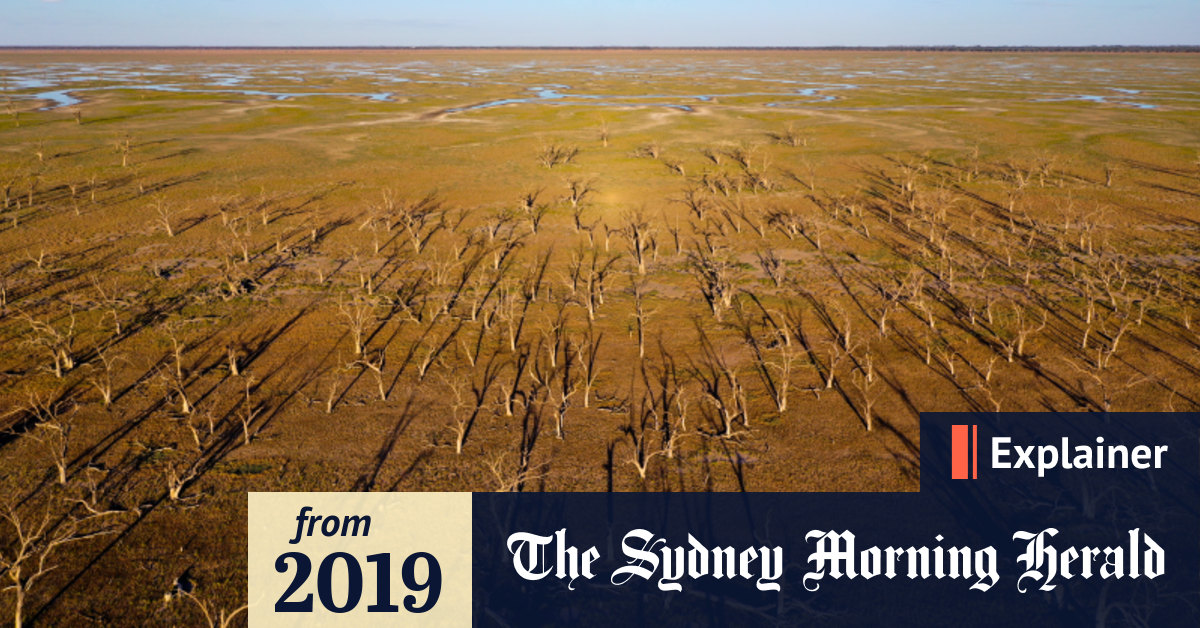 NSW drought: Is climate change the main culprit?