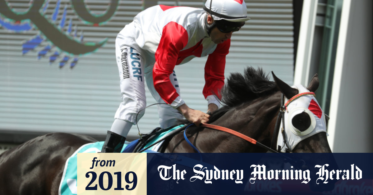 Bloodlines: Magic stallion popular in Perth on historic day