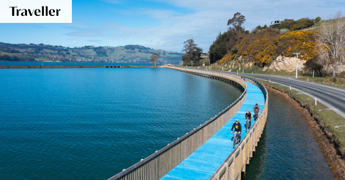 New Zealand easy cycling routes: Dunedin’s Te Aka Otakou is an easy day ...