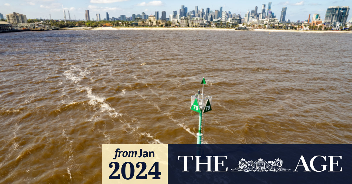 Climate change Melbourne: Port Phillip Bay councils demand government ...