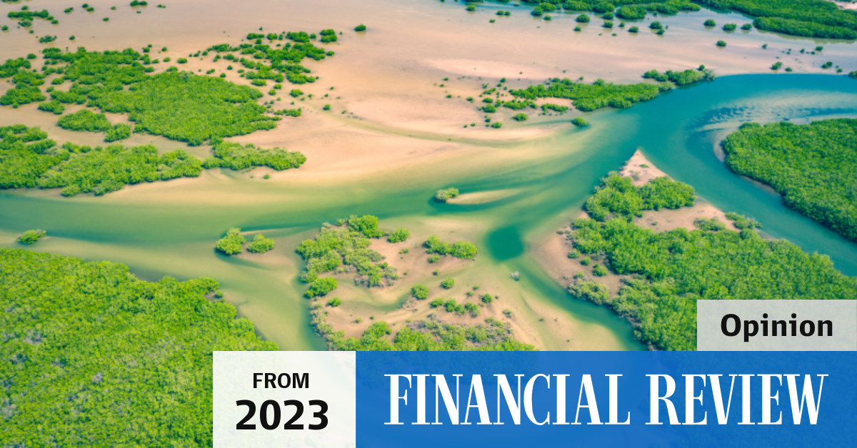 How to sell fake carbon credits: ‘I probably will go to jail’