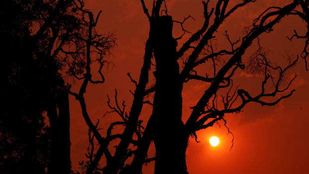 Perfect blood-red sunsets? No, shared pictures mask the blood and sweat ...