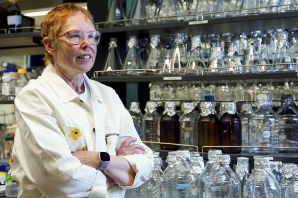 Cancer vaccines: scientists are responding strong gains from some ...