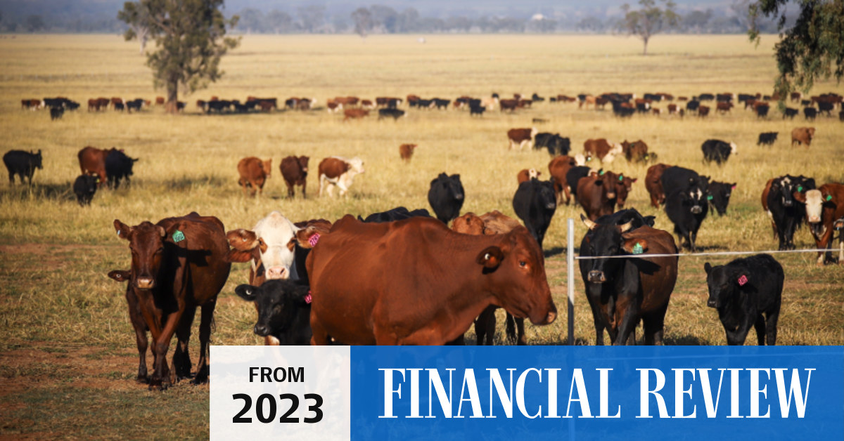 Farmland’s golden run ends as prices fall 3.9 per cent in six months