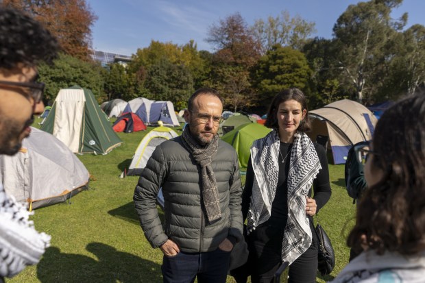 Israel-Gaza war: Greens support of Palestinian protests is a threat to ...