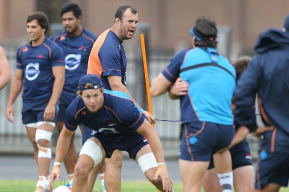 Michael Cheika could be the perfect man for the Queensland Reds