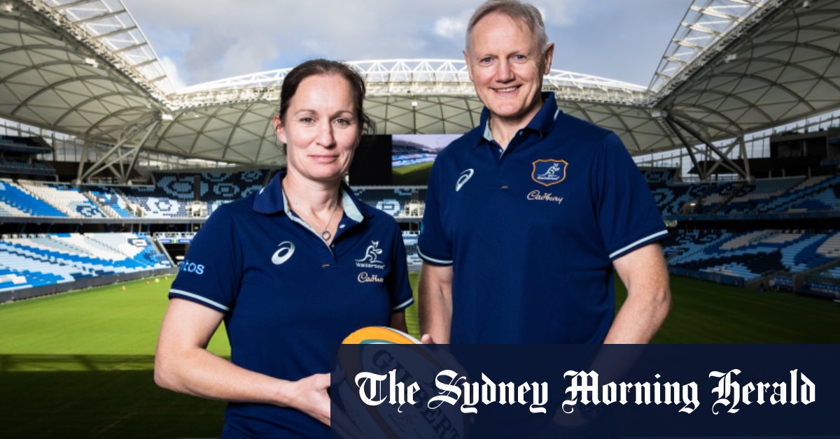 Rugby 2024: Joe Schmidt and Jo Yapp - the two new leaders for ...