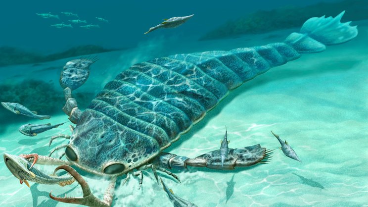 largest scorpion ever existed