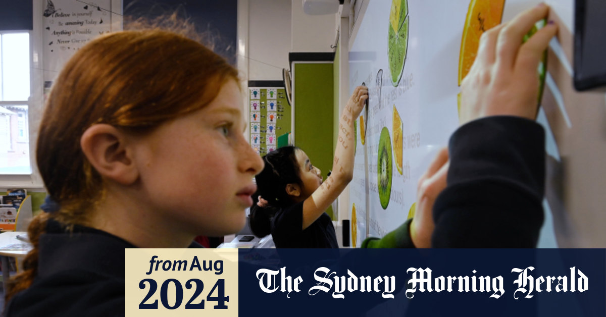 NAPLAN results 2024: NSW education reforms urged by experts