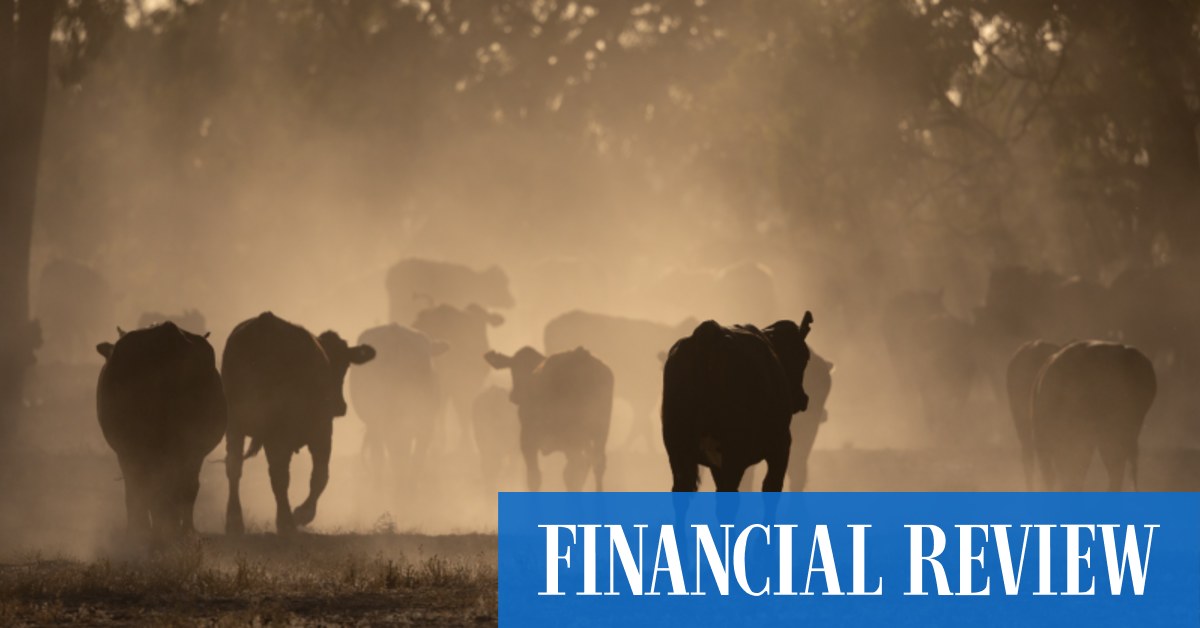 Adamantem Capital doubles down on Climate Friendly and carbon offsets