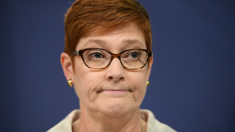 Foreign Minister Marise Payne appoints friend and ally to plum ...