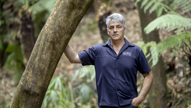 ANU backs prominent forest scientist after ‘unfair’ media treatment