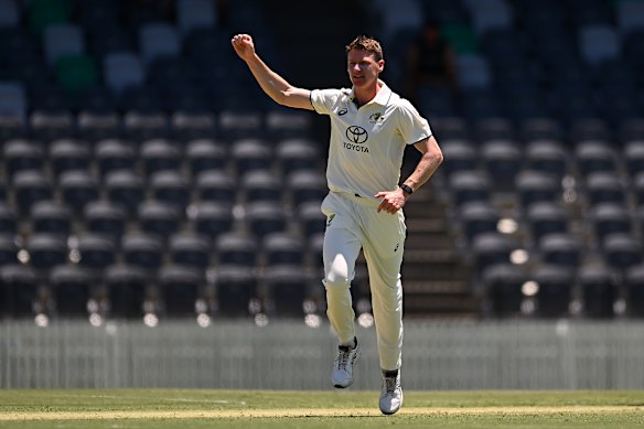 Brendan Doggett Ashes 2025 Australia squad: Michael Kasprowicz says he ...