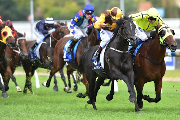 Bloodlines: I Am Invincible and Snitzel to again battle for stallion ...