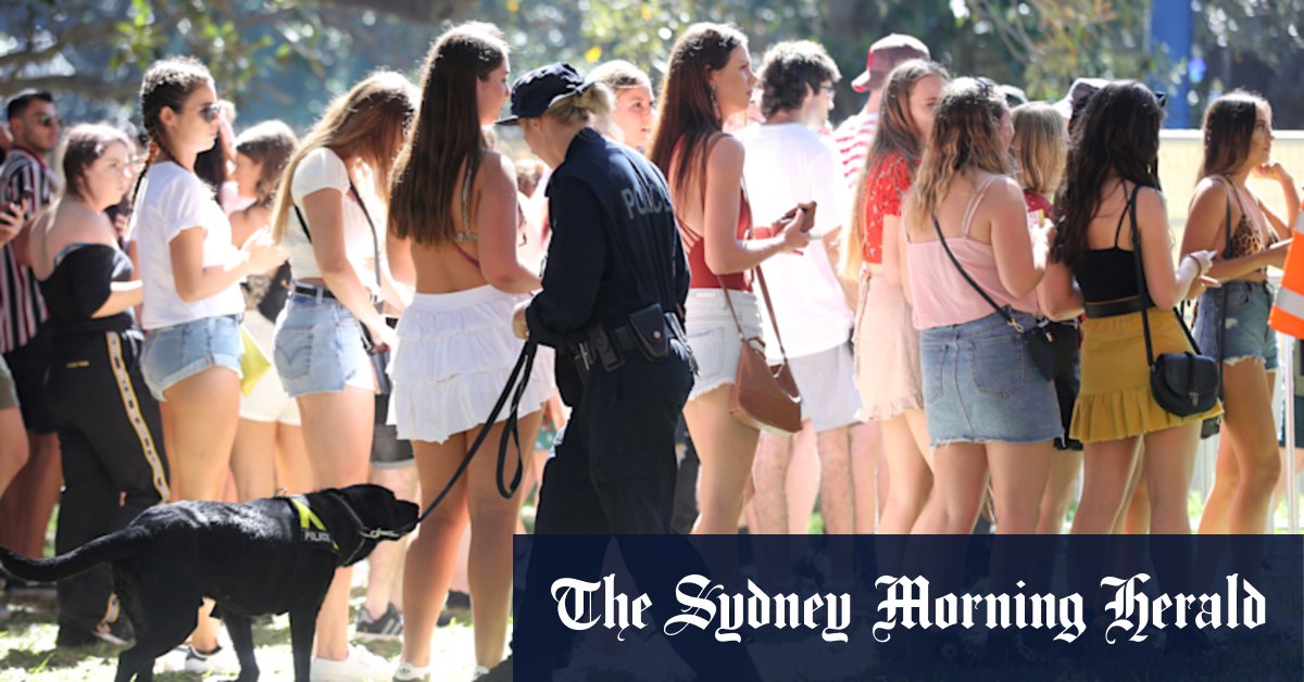 Raya Meredith class action: Mal Lanyon, Yasmin Catley respond to ...