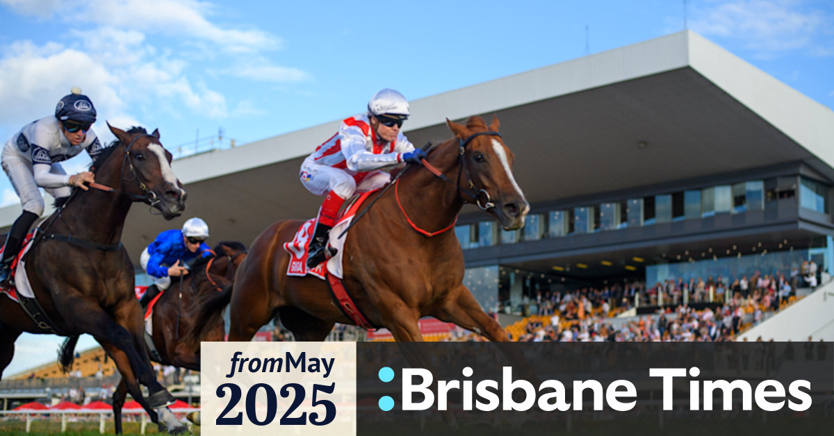 State launches horse, greyhound racing review