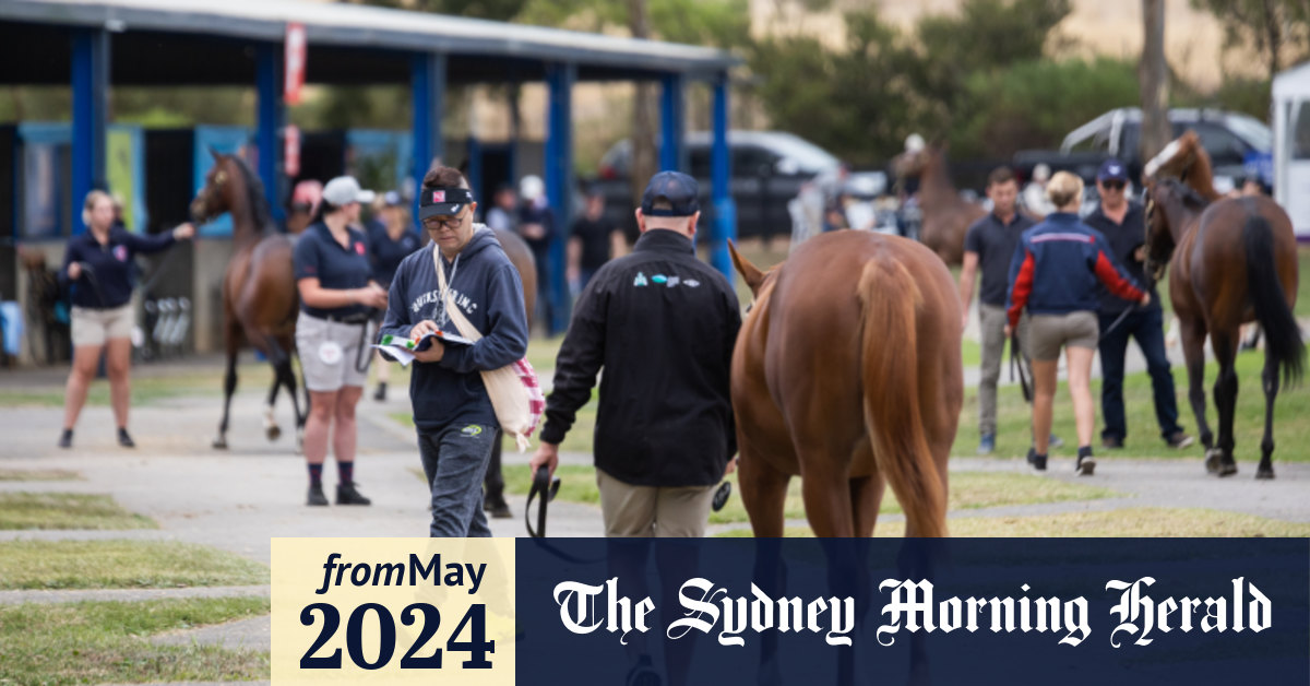 Tamworth races Friday tips and full preview