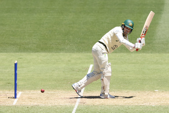 Australia v West Indies first Test: Australia player ratings from Adelaide