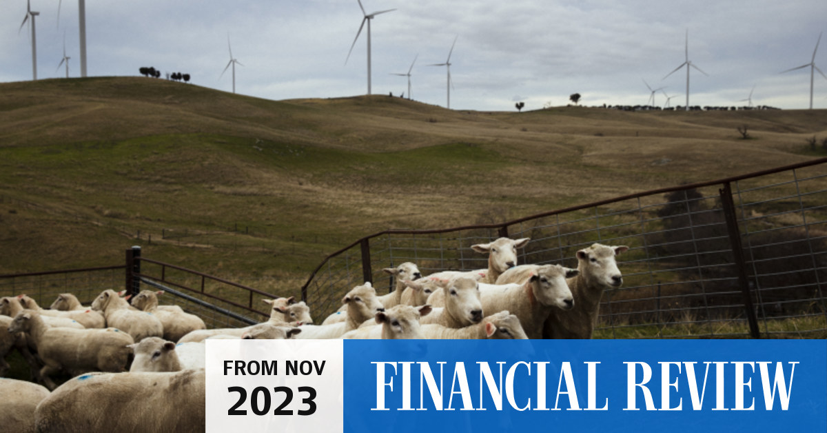 Renewable energy investment plans surge, ACIF forecasts show