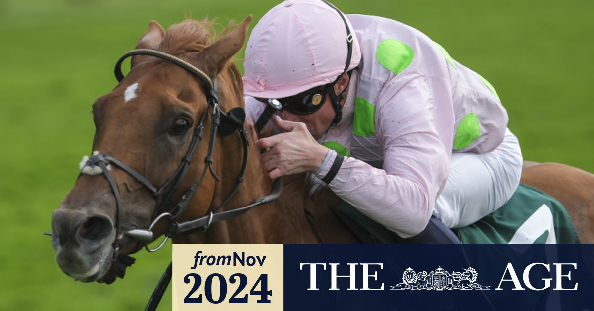 Melbourne Cup 2024: Who will win the 2024 Melbourne Cup; Buckaroo ...