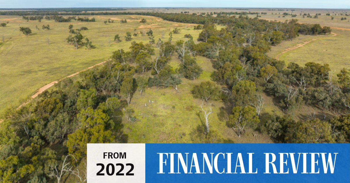 Expanding farming families spend big on livestock stations