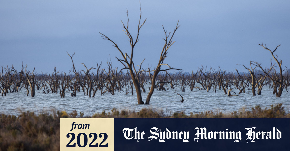 Poetry reviews: New collections by Peter Ramm and Emilie Collyer