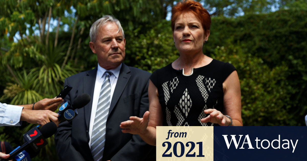 One Nation's WA leader rebuffs Hanson, says party has 'strategic' plan ...