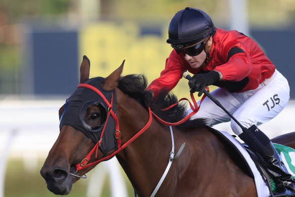 Randwick races Saturday tips and full preview