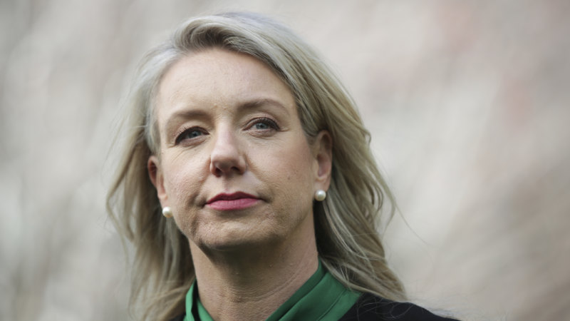 Federal election: National's Bridget McKenzie won't quit Senate to run ...