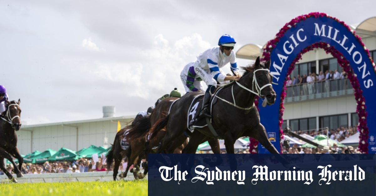 Newcomer Neasham makes big splash on Gold Coast