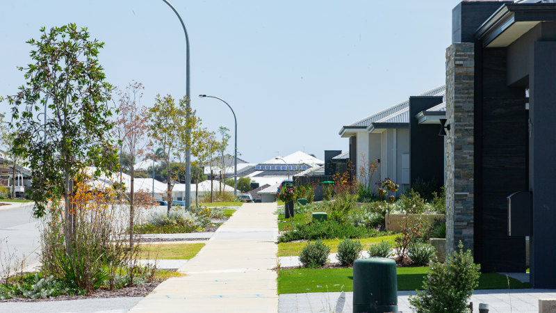 Perth plans to plant one million trees to boost urban canopy coverage ...