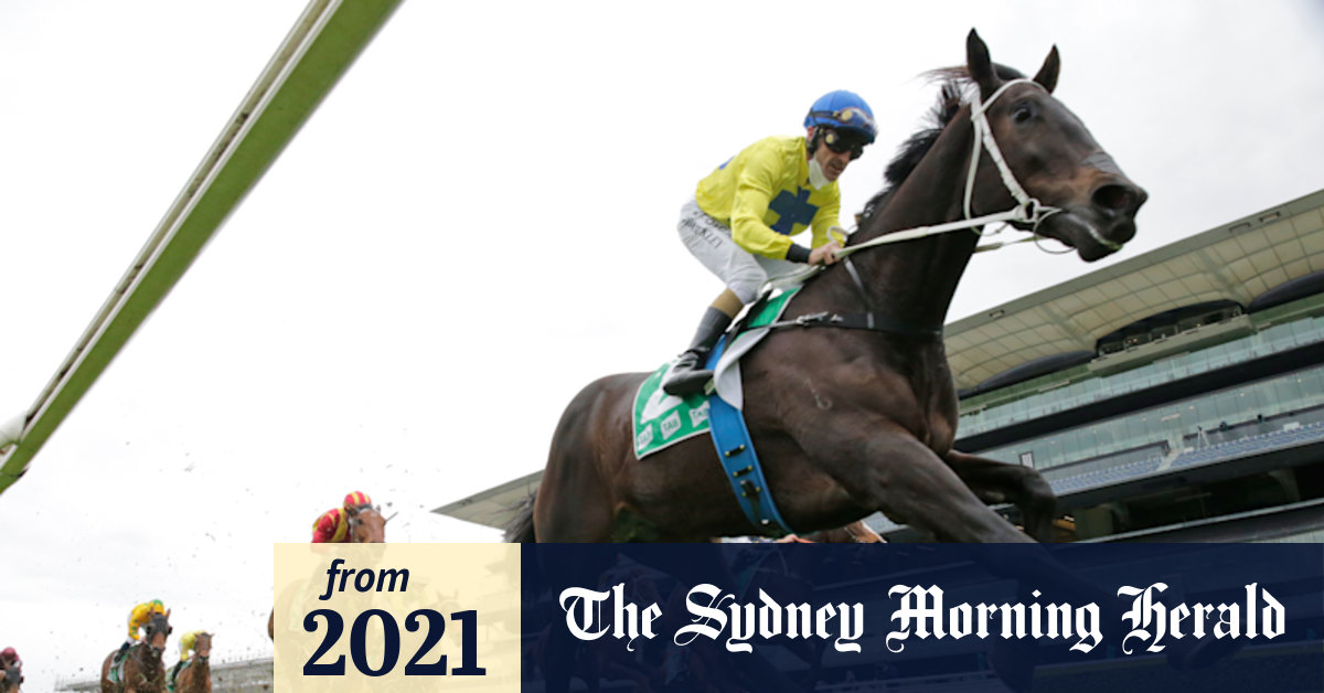 Race-by-race preview and tips for Forbes on Sunday