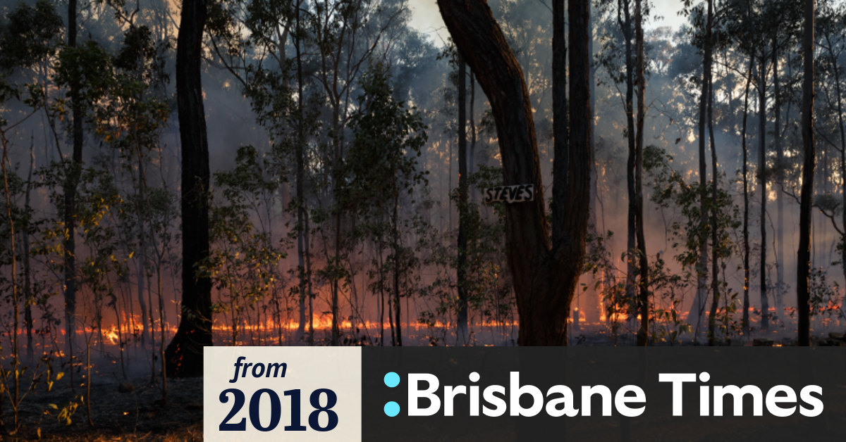 South-east Queensland fire permits cancelled in 'tinder-dry' conditions