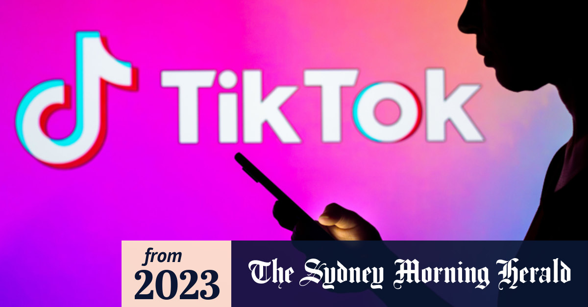 Tiktok ban puts other Chinese-owned apps under scrutiny