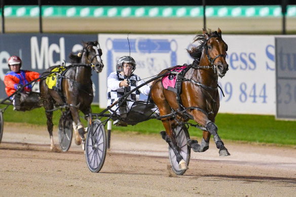 Eureka: Slot holders announced for harness racing’s richest race