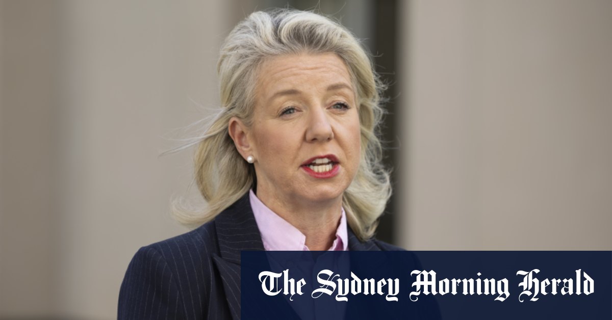 Bridget McKenzie forced into backdown over Qantas breakup AFR column