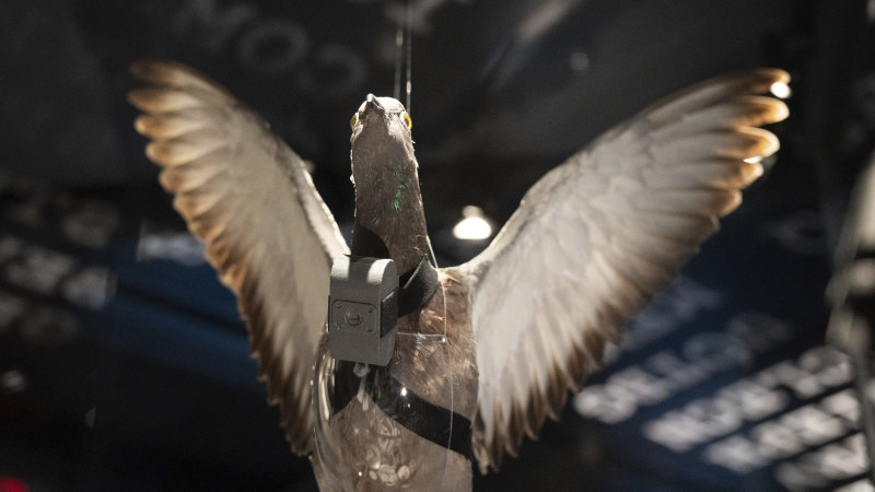 Queen Elizabeth’s resting place shown in photo as King Charles takes up ...