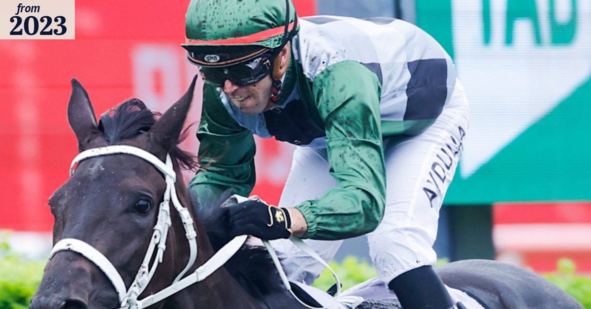 ‘It’s crazy how things work out’: Avdulla and the horses who saved him