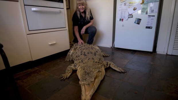 'She's a sweetheart': Owner to farewell 'beautiful' suburban pet croc