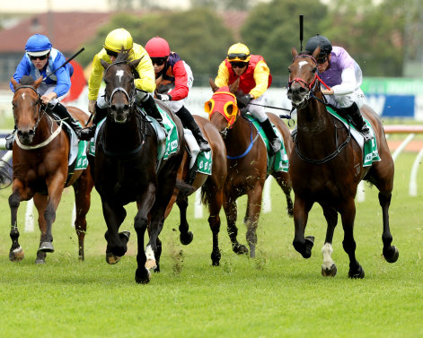 Tamworth races Monday tips and full preview