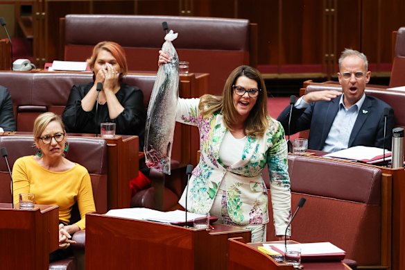 The Sydney Morning Herald’s year in pictures 2025