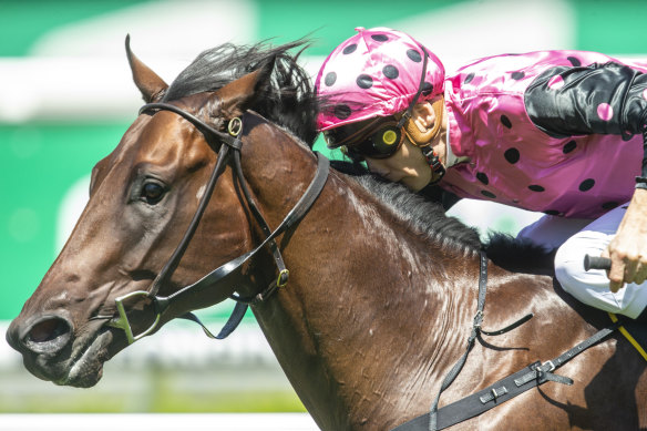 The Championships 2020: Mamaragan, Aim and Bartley strong Sires' hand ...