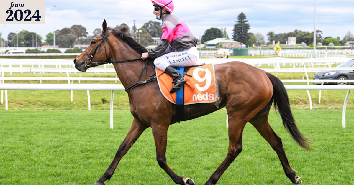 Five horses from five stables tested positive to a breast cancer drug ...