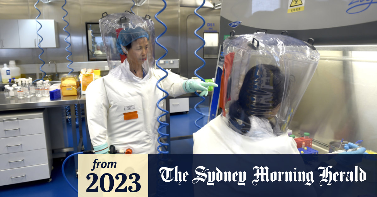 No direct evidence COVID-19 pandemic originated at China’s Wuhan ...