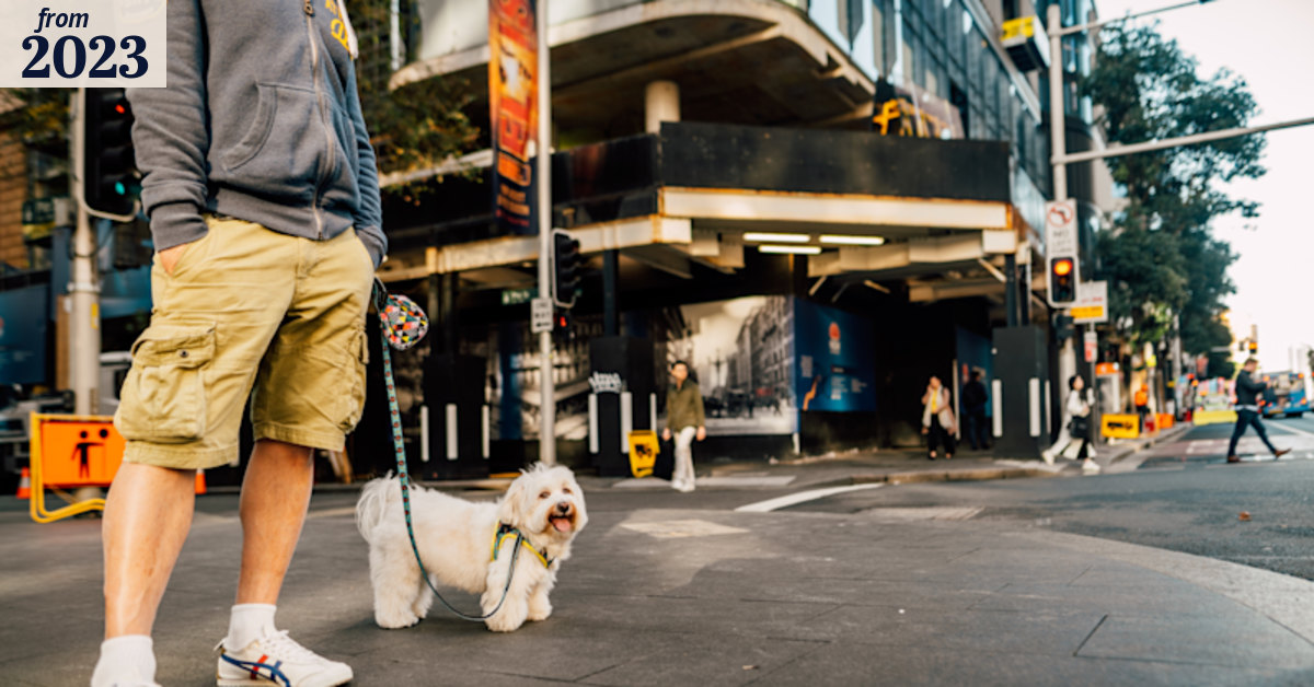 Sydney Metro: Gadigal unveiled as name of CBD station